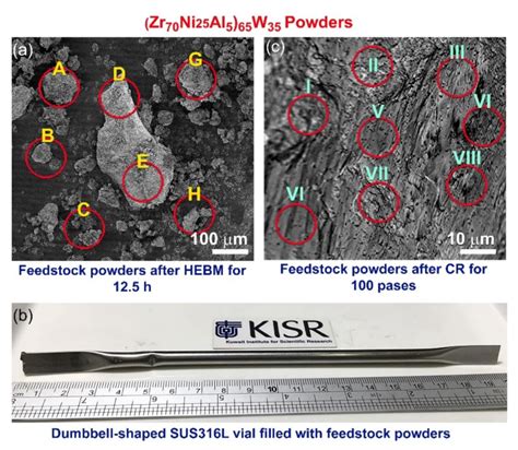 A A Micrograph Of The Field Emission Scanning Electron Microscope
