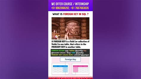 🔑what Is Foreign Key In Sql என்றால் என்ன 😂funny Programming Memes Shorts Reels Sql