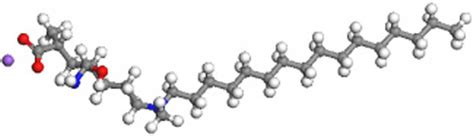 Partially Hydrolyzed Polyacrylamide Model Download Scientific Diagram