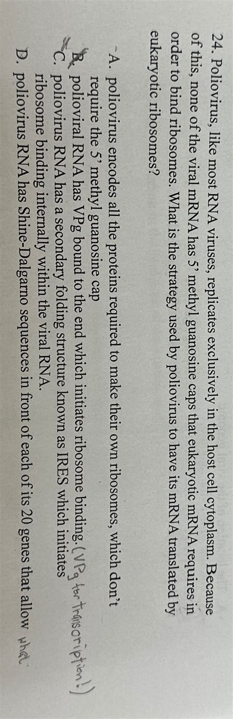 Solved Poliovirus Like Most Rna Viruses Replicates