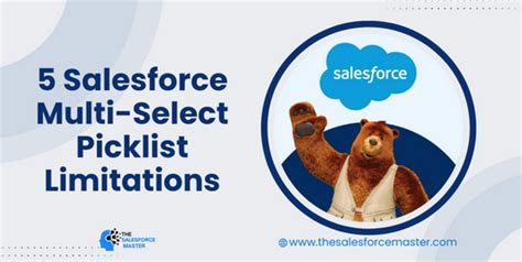 Top 5 Salesforce Multi Select Picklist Restrictions The Salesforce Master