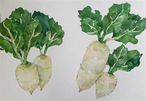 김장화이팅♡♡♡ 수채화 식물 수채화 그림