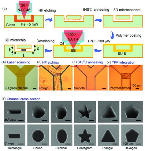 3d Polymer Micro Nano Structures By Hybrid Femtosecond Laser