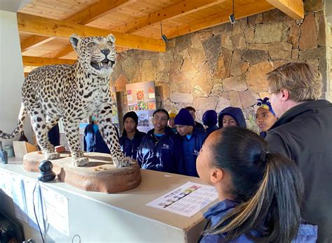 Why Sustainable Education Is Critical For The Next Generation Sustainable Schools