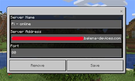 how could i use the public url feature with the minecraft server · issue 26