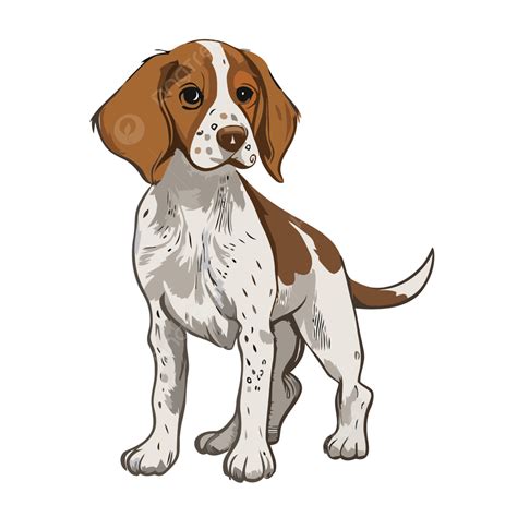 개 Png 벡터 스티커 클립 아트 갈색과 흰색 강아지 만화 상표 클립 아트 Png 일러스트 및 벡터 에 대한 무료 다운로드 Pngtree