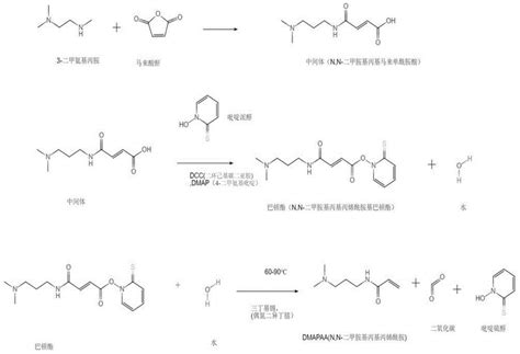 一种利用脱羧反应合成N N 二甲胺基丙基丙烯酰胺的方法与流程