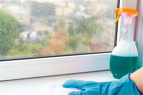 How To Clean Mould Off Aluminium Window Frames Nz At Stephen Wood Blog