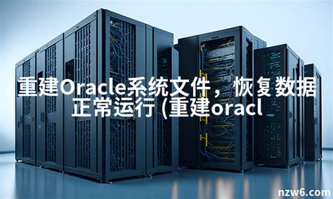重建oracle系统文件，恢复数据正常运行 重建oracle数据库system文件 牛站网络