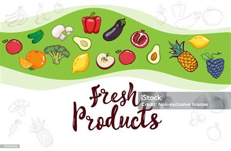 포장 템플릿 디자인 벡터 일러스트 레이 션 라임 배너입니다 음식을 위한 디자인 레스토랑 카페 메뉴 농장 가 게의 손 글자 라벨 로고 배지 스티커 또는 아이콘에 대 한