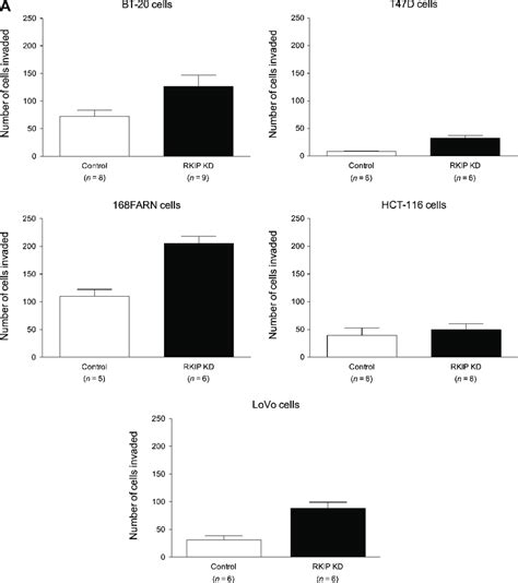 Effects Of Altered Rkip Expression On Invasion Of Different Cancer Cell Download Scientific