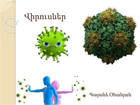 վիրուսներ Pptx