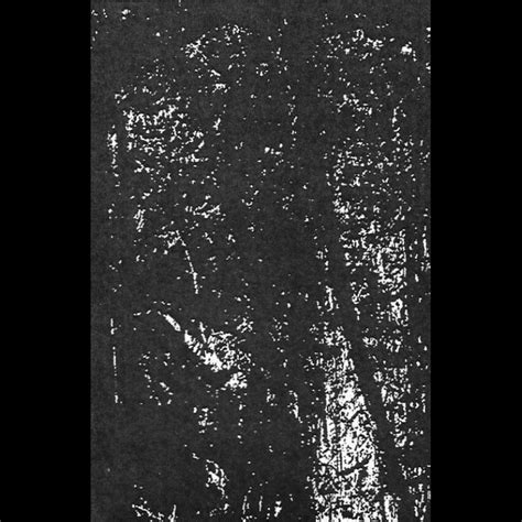 Mons Veneris A Floresta Maligna 2004