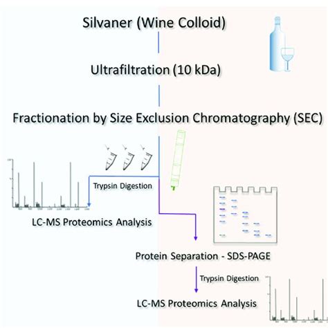 Illustrative Scheme Of The Methods Applied For The Isolation And