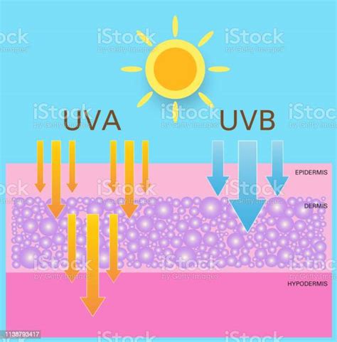 Skin Compare Protect Both Uva And Uvb Stock Illustration Download