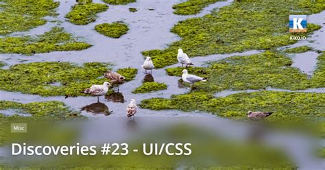 Discoveries 23 UI CSS Kiko Io Discoveries 23 UI CSS Kiko Io