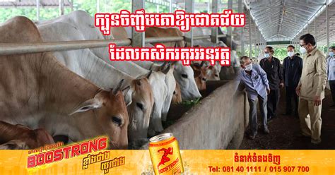 មកដឹងគោលការណ៍បច្ចេកទេស ៥ចំណុចពីមន្ត្រីជំនាញ