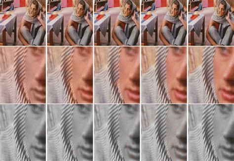 The Colorization For Barbara Image Based On Different Amount Of Seed Download Scientific