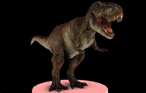 T Rex 3d Model Game Ready Obj Fbx Mtl Tga