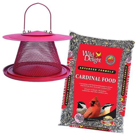 Questions And Answers About Perky Pet Cardinal Wild Bird Feeder And Wild