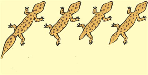 Example Of Regeneration