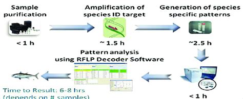 Scheme Of The Pcr Rflp Analysis With Chip Based Capillary Download Scientific Diagram