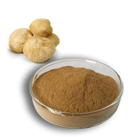 complete guide to the grinding process of hericium erinaceus extract powder step by step