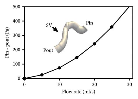 Example Of Portal Vein Segmentation And Flow Resistance Calculation