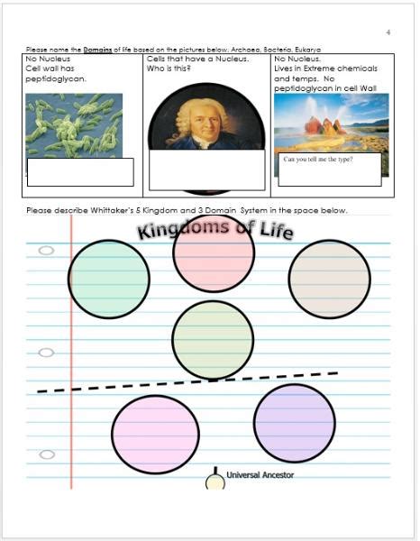 Taxonomy And Classification Powerpoints Lessons Units For Educators