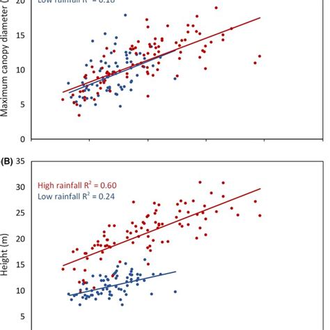 Relationships Between Diameter At Breast Height Dbh And A Maximum Download Scientific