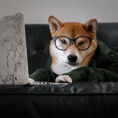 Making Minitest Work Like Rspec When I Switched From Rspec To Minitest By Mhz Medium