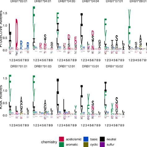 Binding Logo Plot Of Associated Hla Dr Alleles The Upper Row