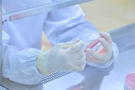 微生物限度試験培地性能試験 株式会社 環境技研
