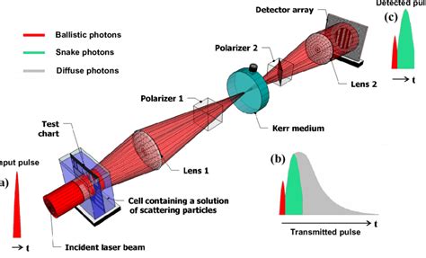 Simulation Configuration Photons From A 100 Fs Laser Pulse Traverse A Download Scientific