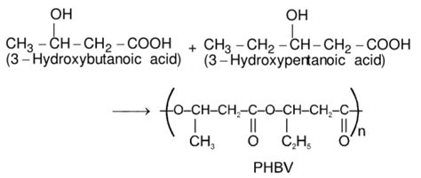 Polymers Formula For Neet 2023