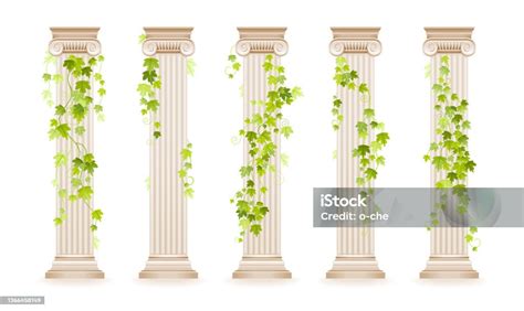 벡터 아이비 열입니다 녹색 담쟁이 잎으로 설정 그리스 대리석 건축 기둥 골동품 기둥에 등반 포도 나무 식물 그림 고대 로마 그리스 디자인 수채화 장식 결혼식 등 결혼식에