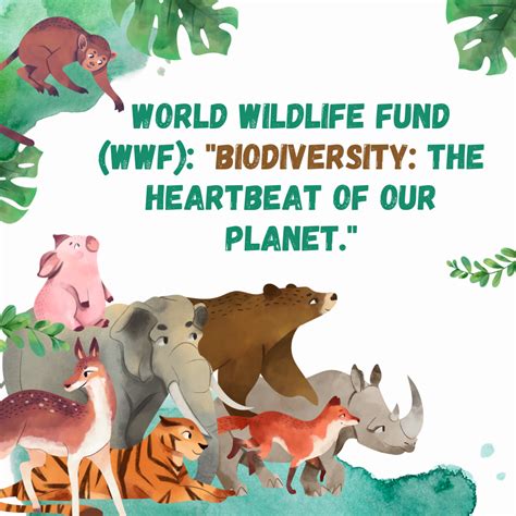 Conservation Of Biodiversity Poster Slogan