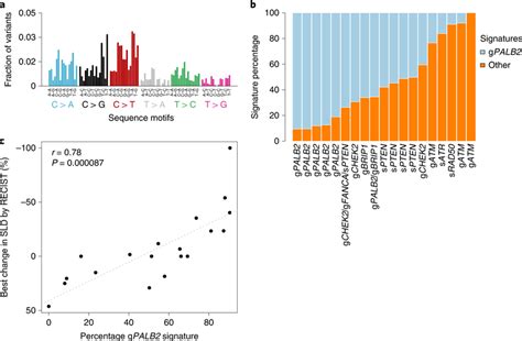 Mutational Signature Analysis And Correlation With Treatment Outcome A
