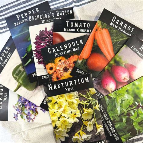 How To Fertilize Seedlings And Why You Should Wild Rose Homeplace