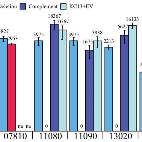 Deletion And Complement Mutants Confirm The Role Of Several Candidate