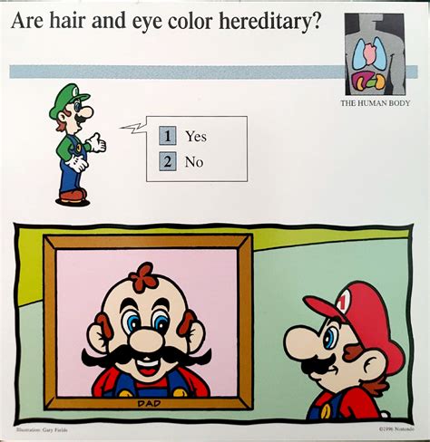 Filemarios Dad Mqcpng Super Mario Wiki The Mario Encyclopedia