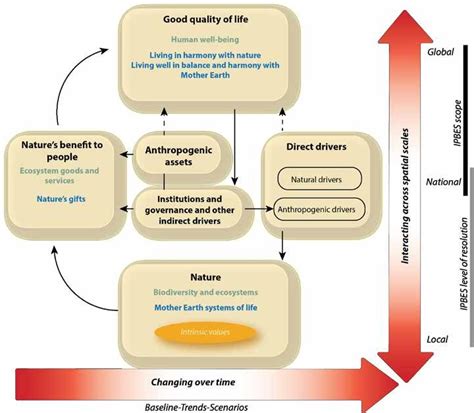 Figure A1 1 Ipbes Conceptual Framework Boxes And Arrows Denote Main Download Scientific