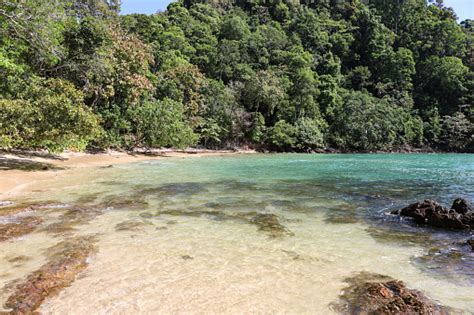 청록색 바다를 배경으로 한 모래와 바위 해변 열대 낙원 휴가와 휴식을 위한 시간 0명에 대한 스톡 사진 및 기타 이미지 0명 경관 계절 Istock