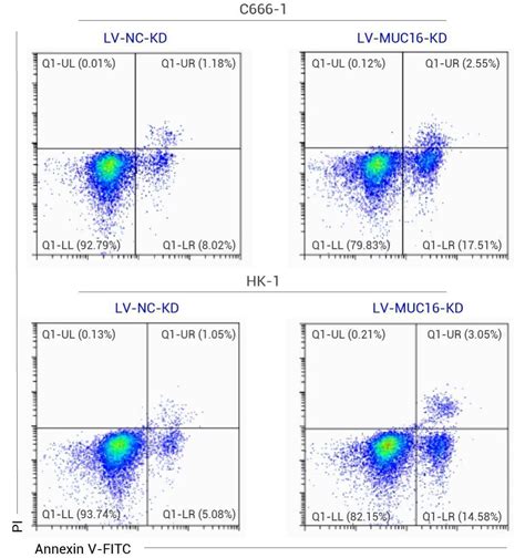 细胞凋亡的流式检测？实验步骤 结果解读，速戳！ Mce 知乎