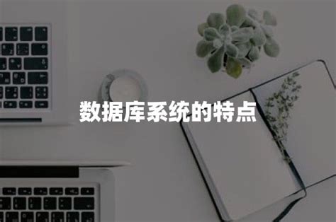 数据库系统的特点 PingCAP 平凯星辰