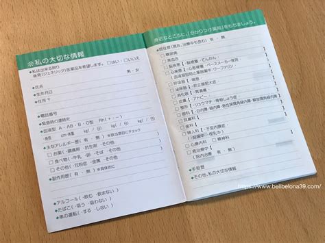 お薬手帳自作必要事項 お薬手帳 作り方 ハンドメイド 【作ってみよう】自作お薬手帳 Aoyu