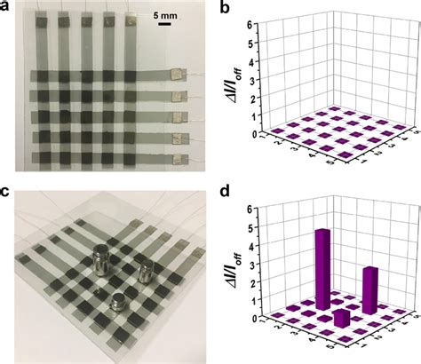 a photographic image of large area sensor arrays with 5 × 5 pixels