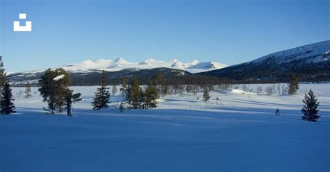 나무와 산을 배경으로 눈 덮인 들판 사진 Unsplash의 무료 풍경화 이미지