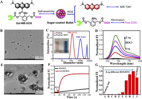 Formation Of The Monocomponent Nps And Their Ros Responsive Performance