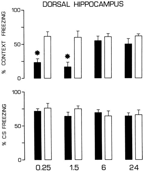 Auditory Thalamus Dorsal Hippocampus Basolateral Amygdala And